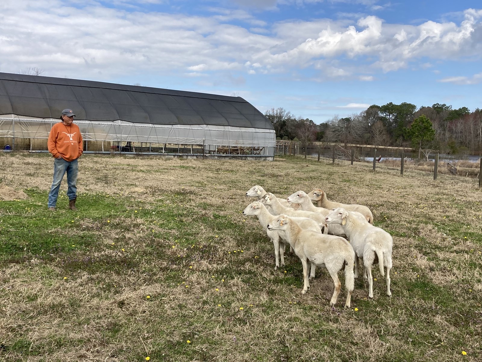 Aussie Acres Ranch located in the Cordele, GA Area